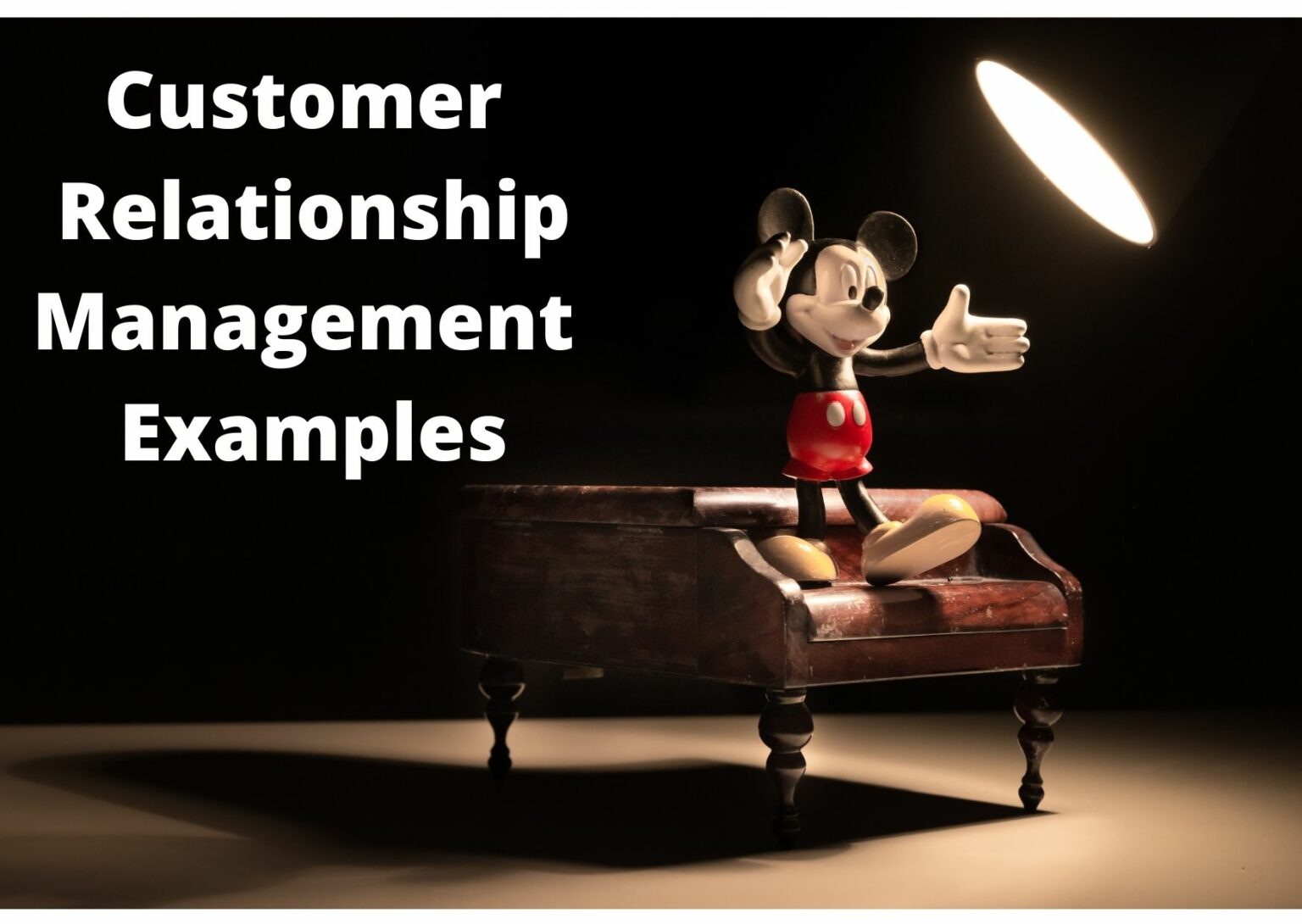 Customer Relationship Management Examples - The Disney Domain